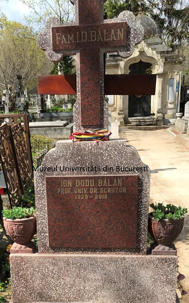 @Bellu - Ion Dodu Bălan - Muzeul Universității din București
